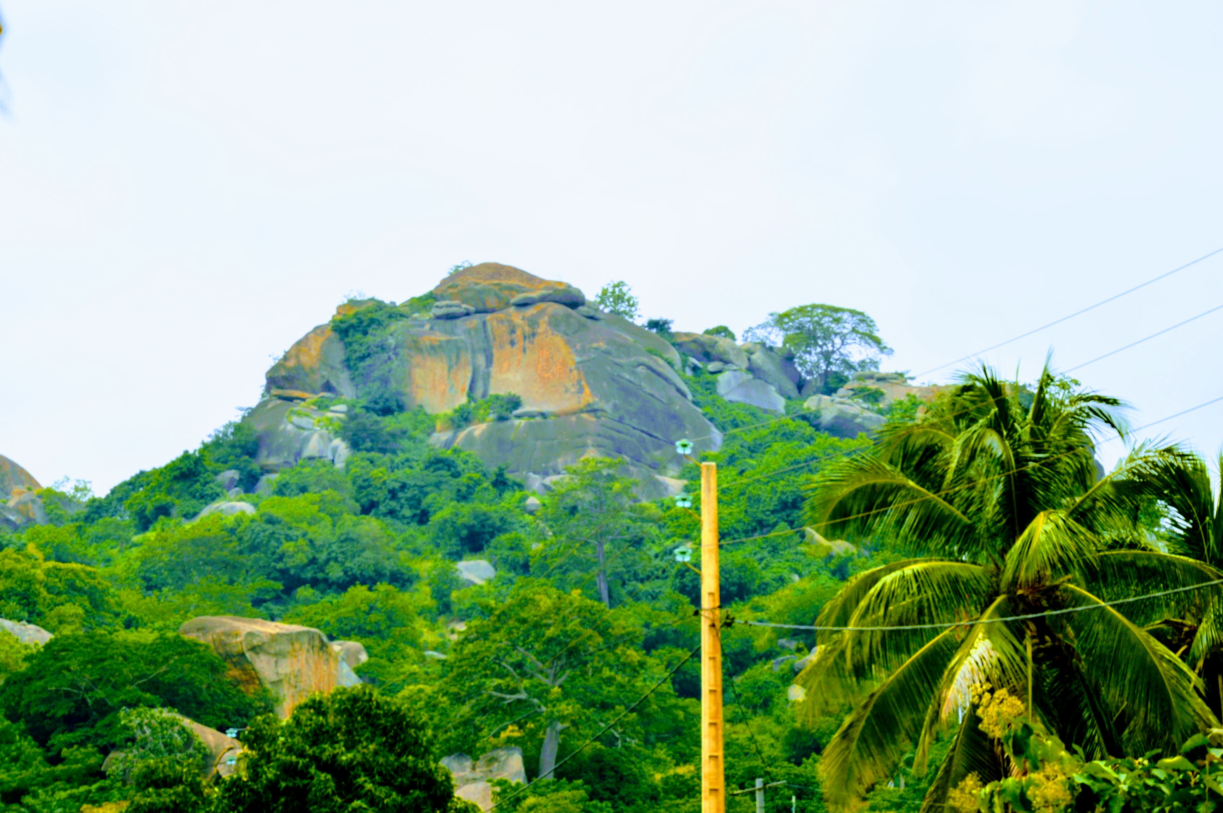 Muswada | Chapter | 12