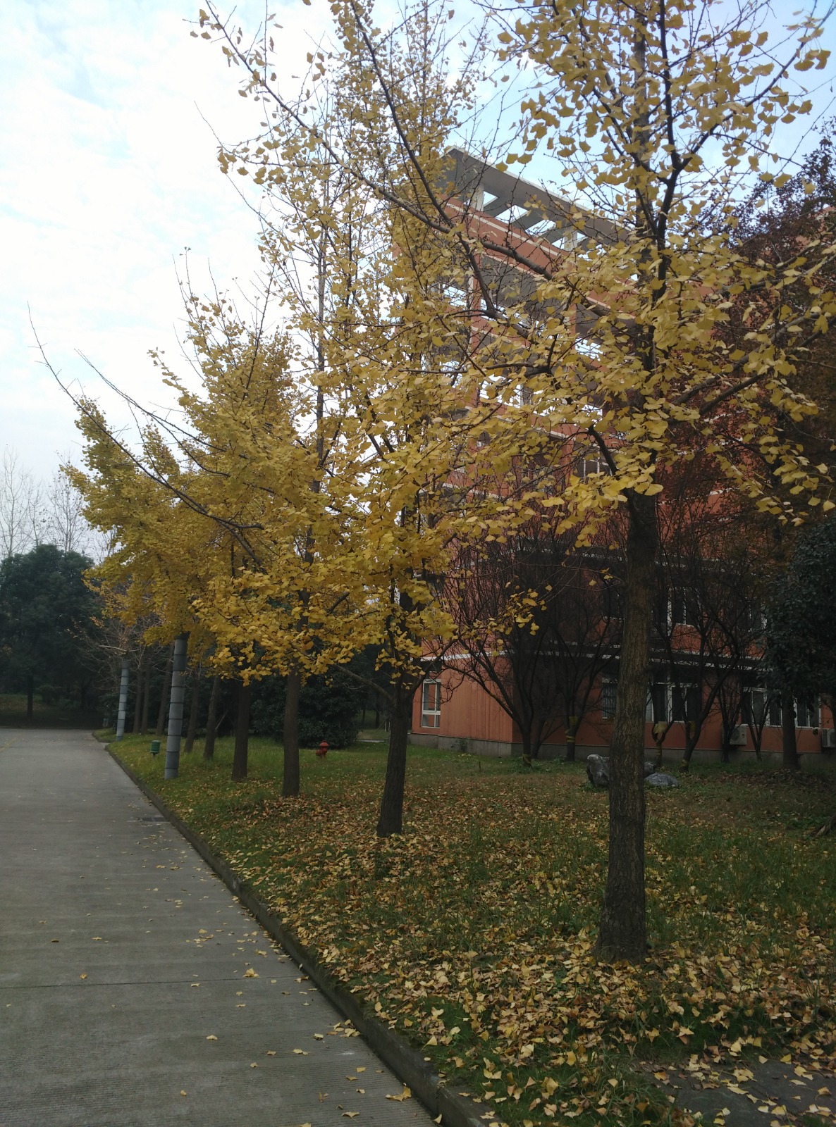 Muswada | Chapter | Refus